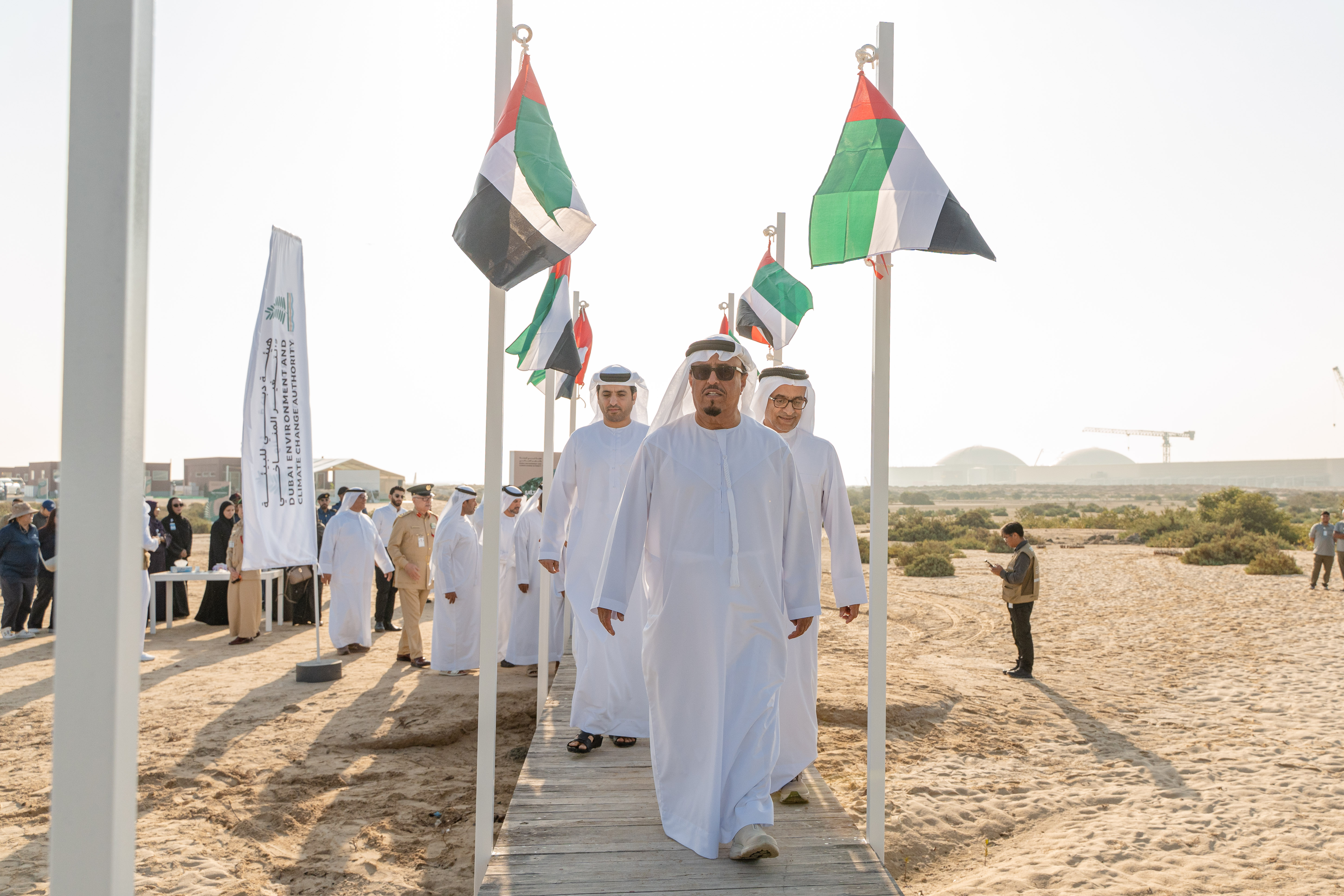 Dubai Environment and Climate Change Authority Launches Mangrove ...
